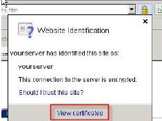 How to check which certificate is in use by AX Server